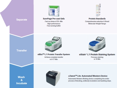 GenScript Biotech products from Cambridge Bioscience